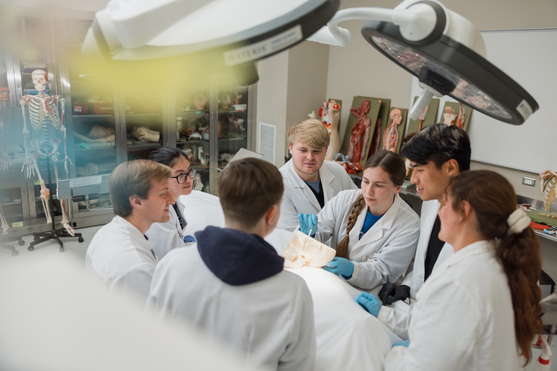 Research Week | Academics | Mississippi College