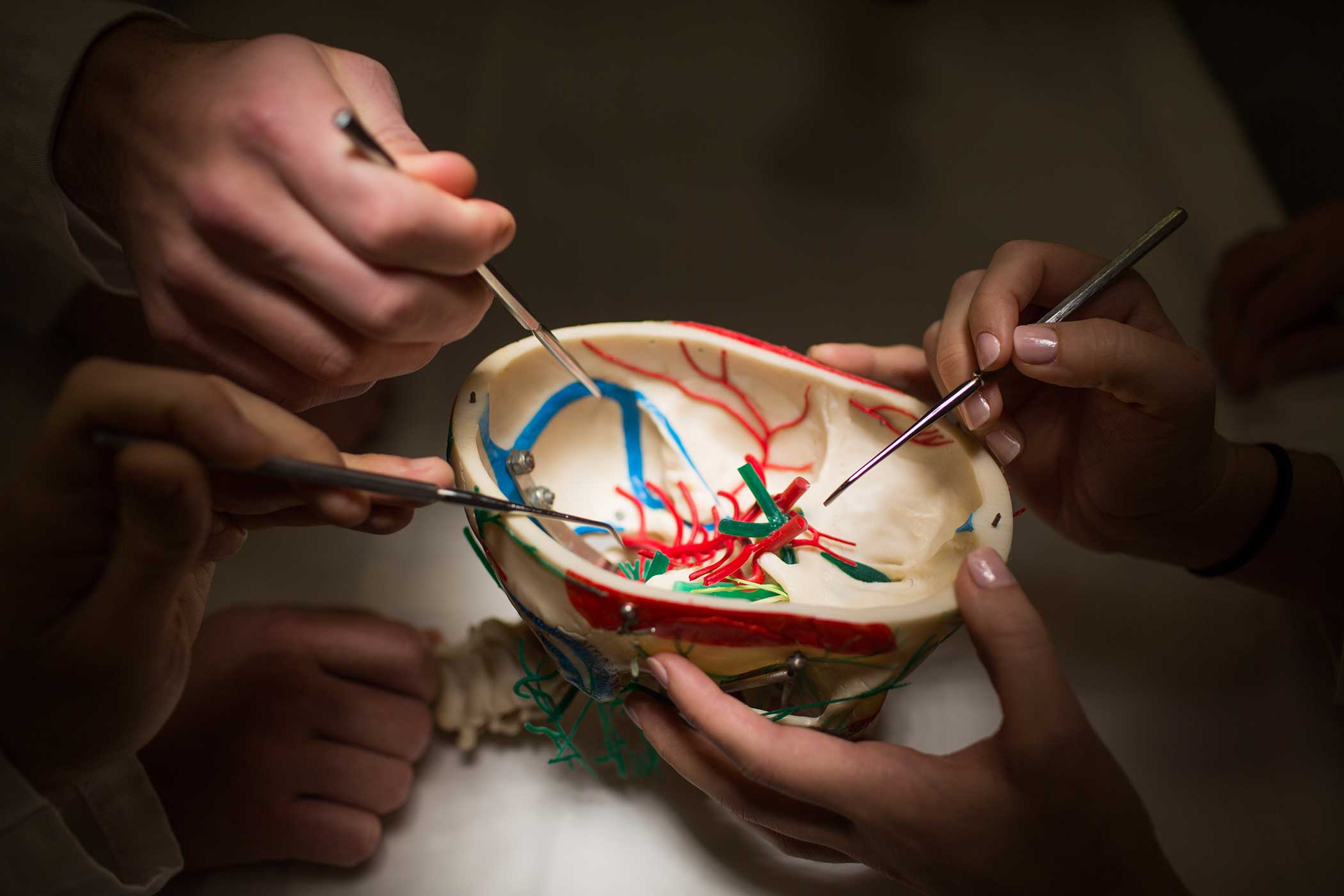 Health Science Certificate | Mississippi College