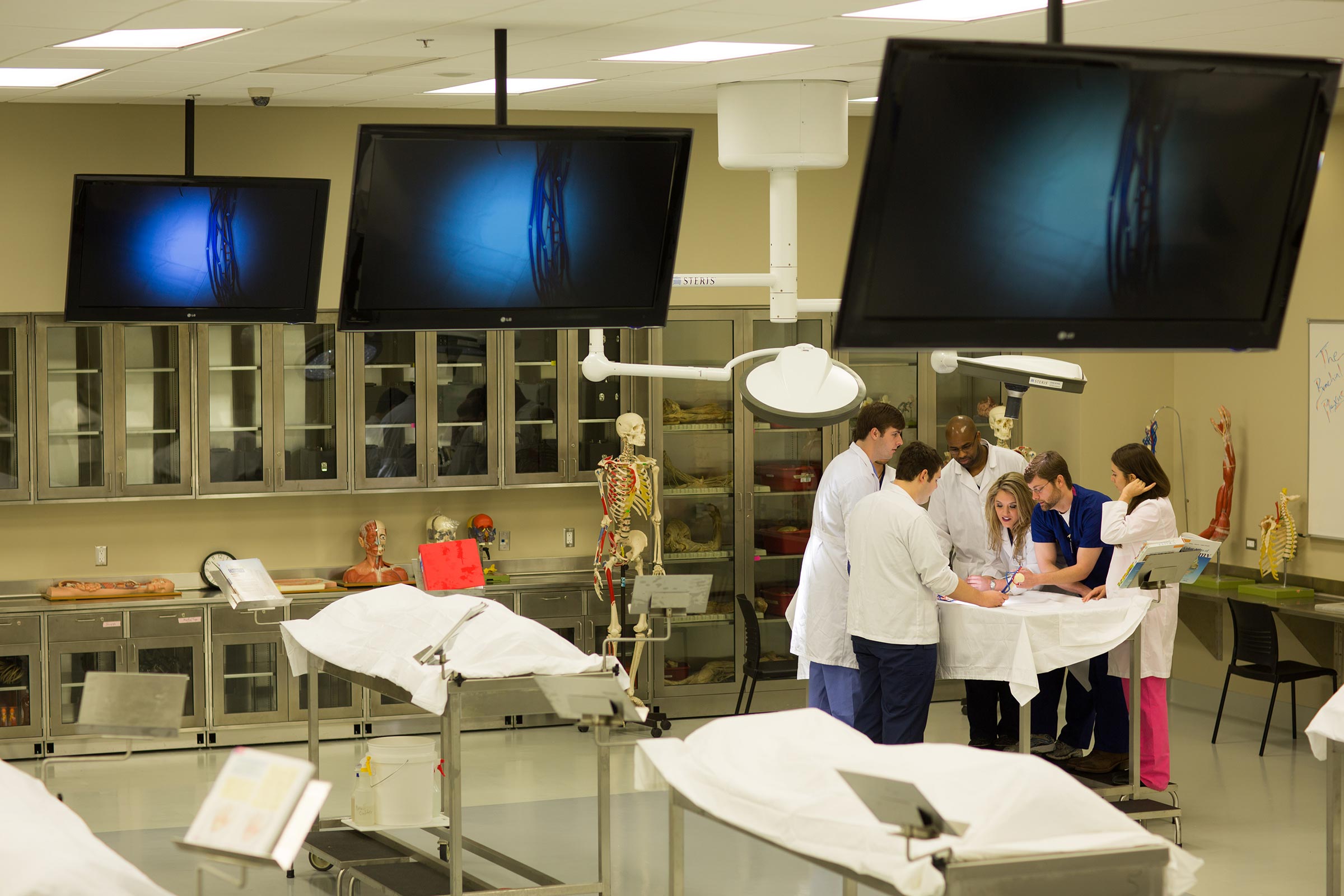 Home | Biological Sciences | Mississippi College