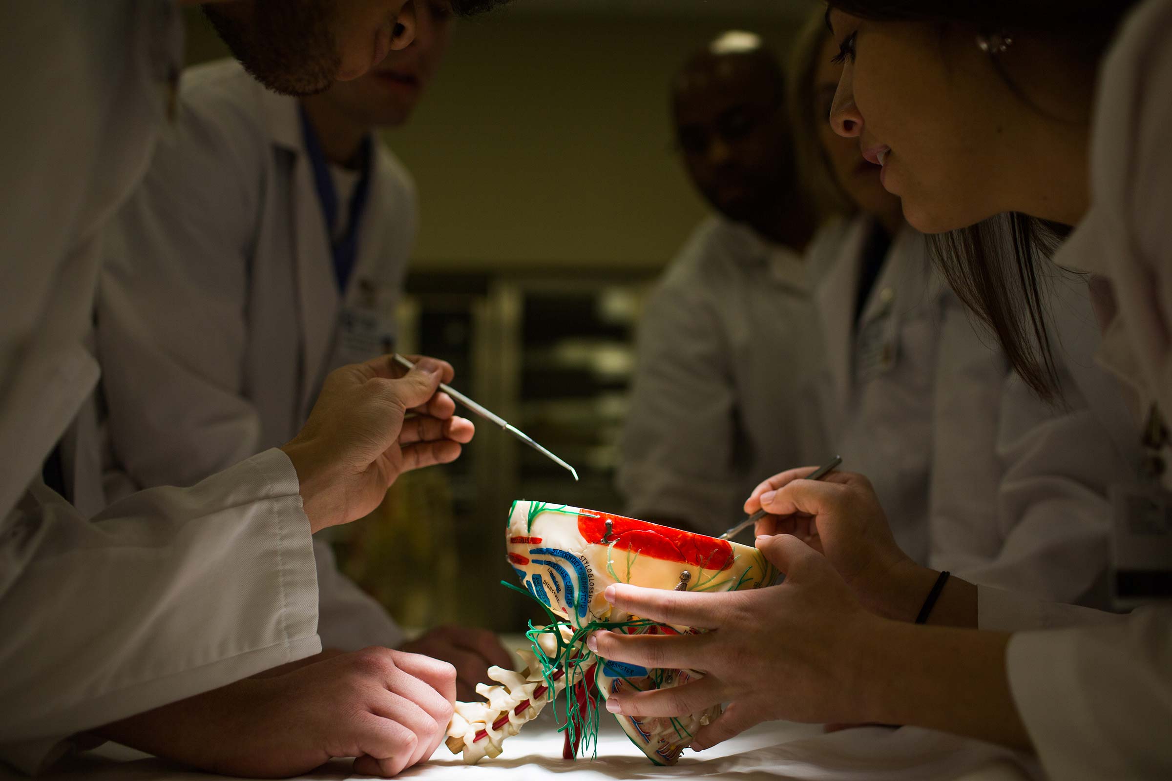 School of Science & Mathematics | School of Science & Mathematics ...